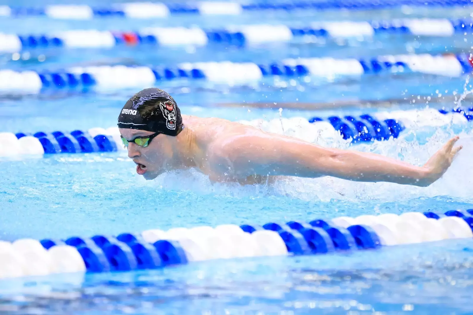 North Carolina State University