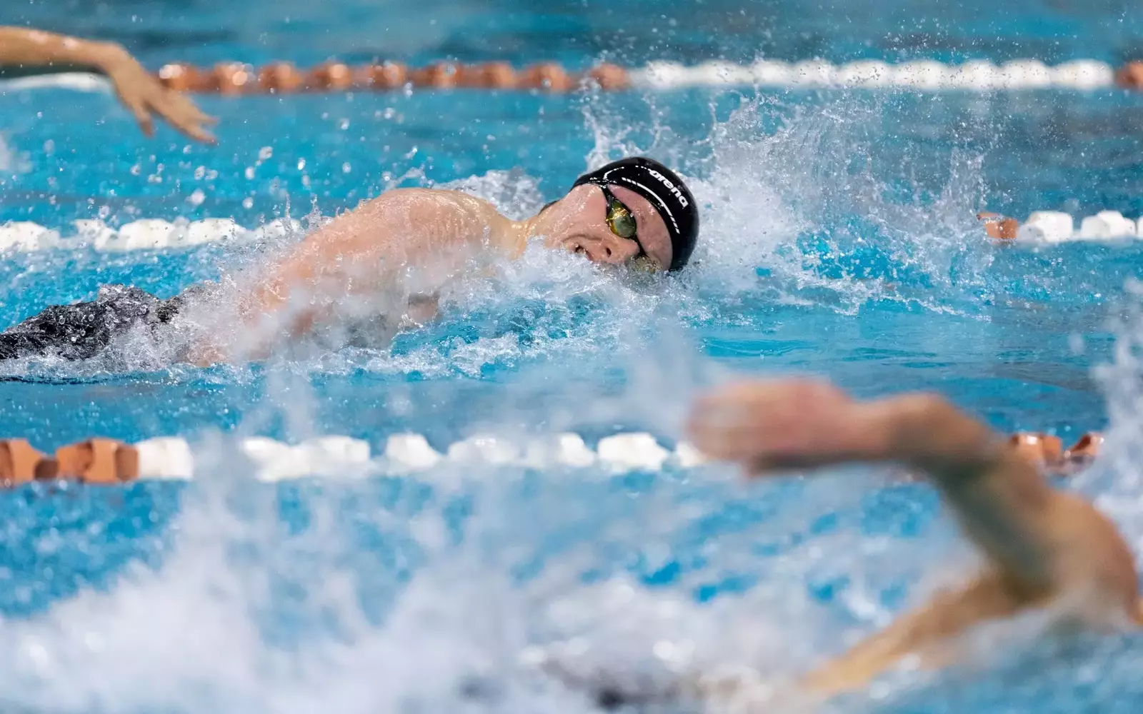 North Carolina State University