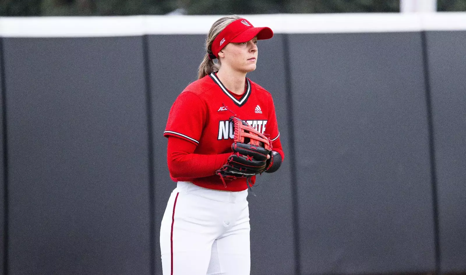 North Carolina State University