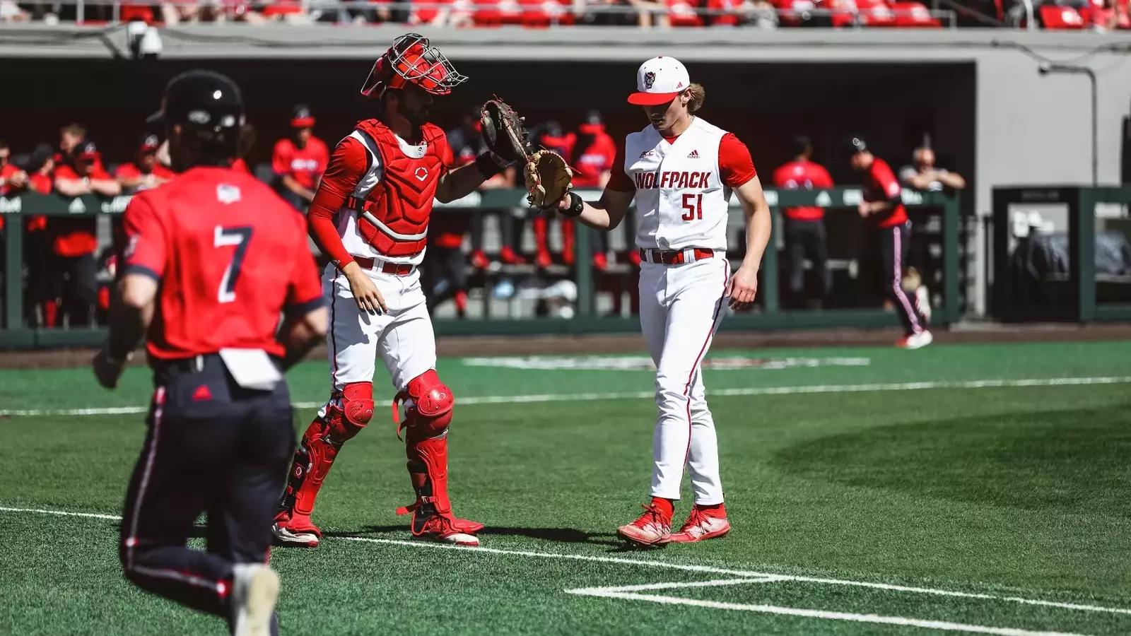 North Carolina State University