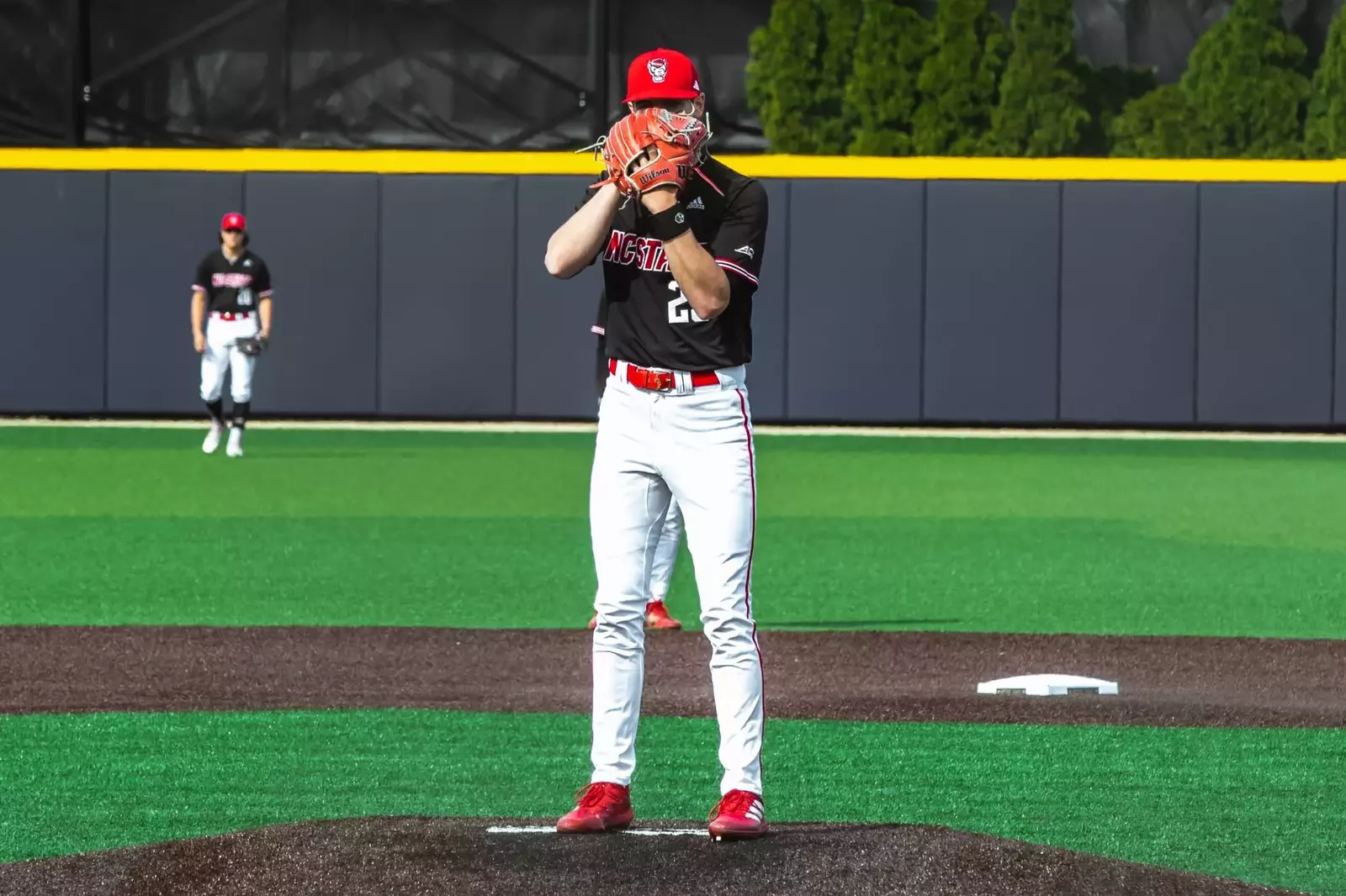 North Carolina State University