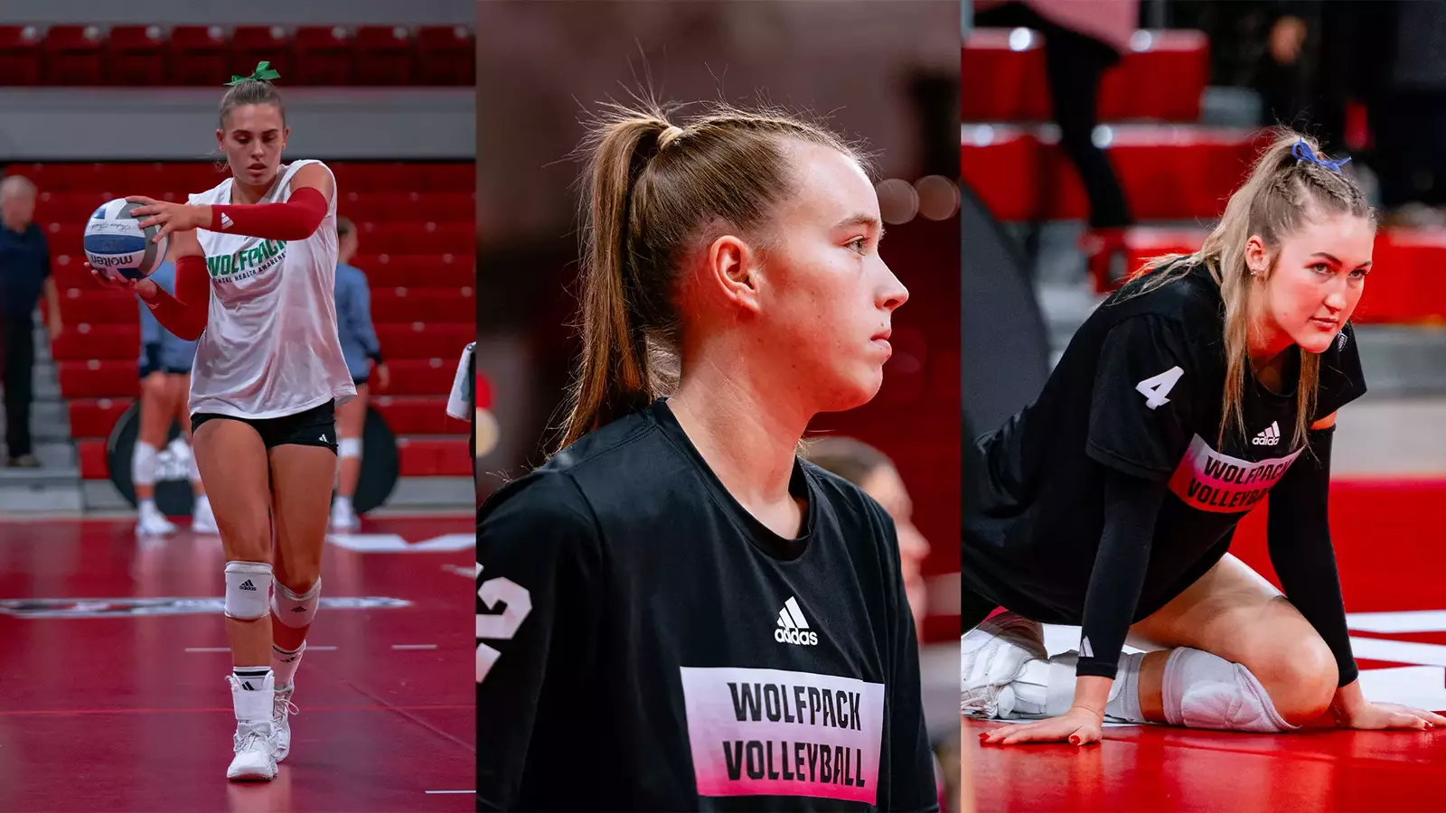 North Carolina State University