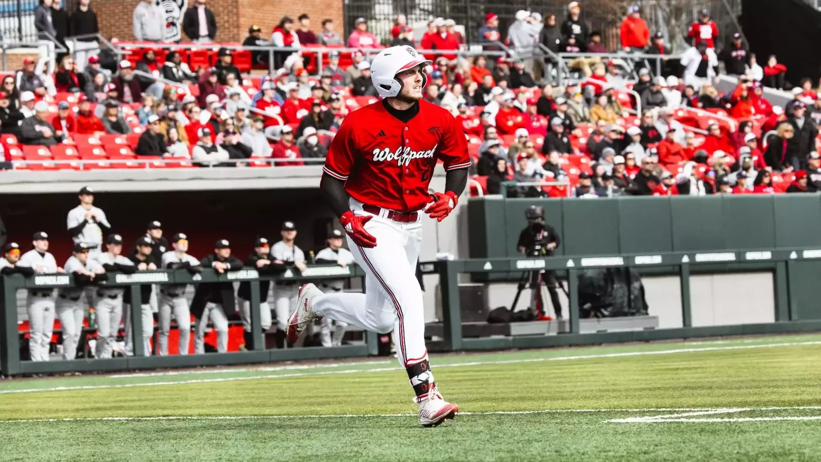 North Carolina State University