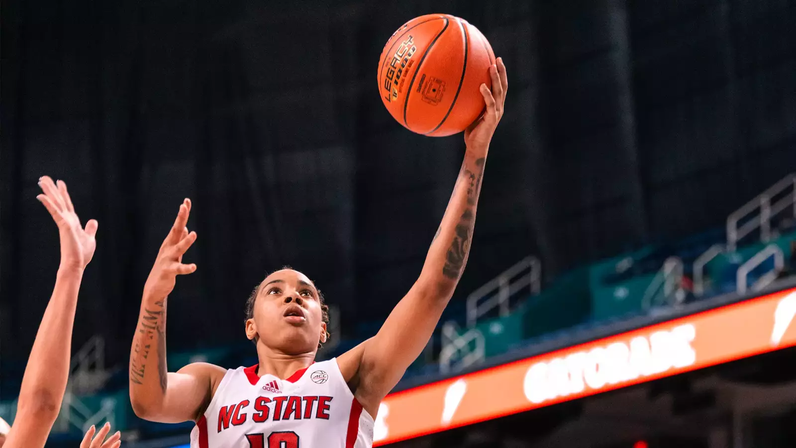 North Carolina State University