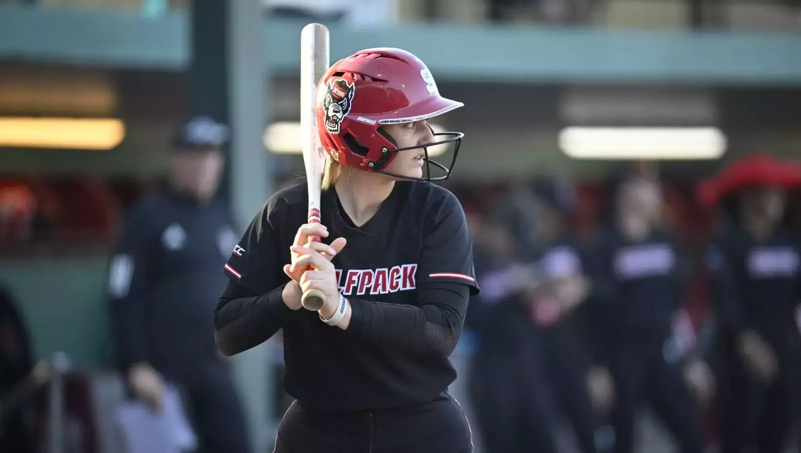 North Carolina State University