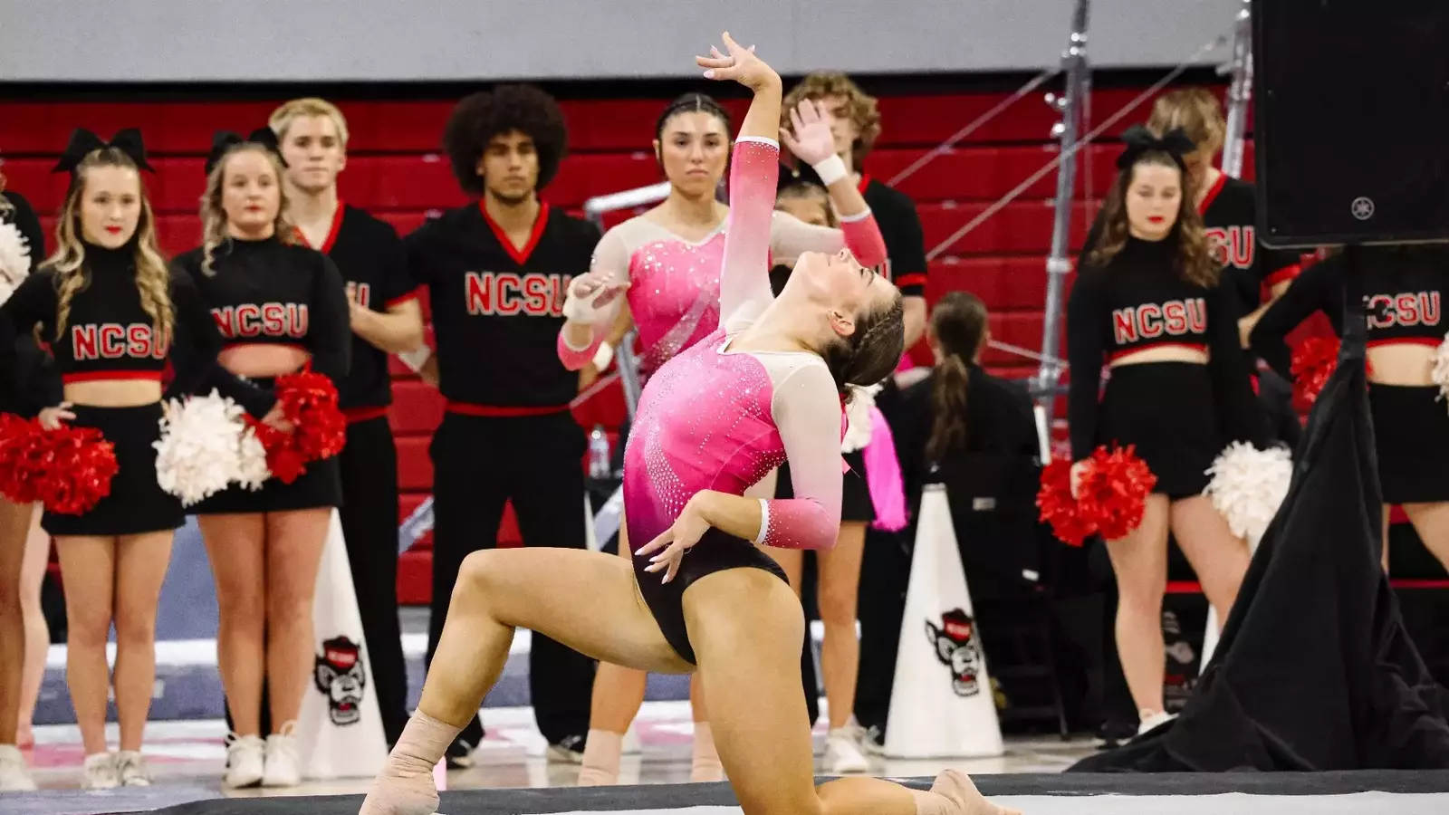 North Carolina State University