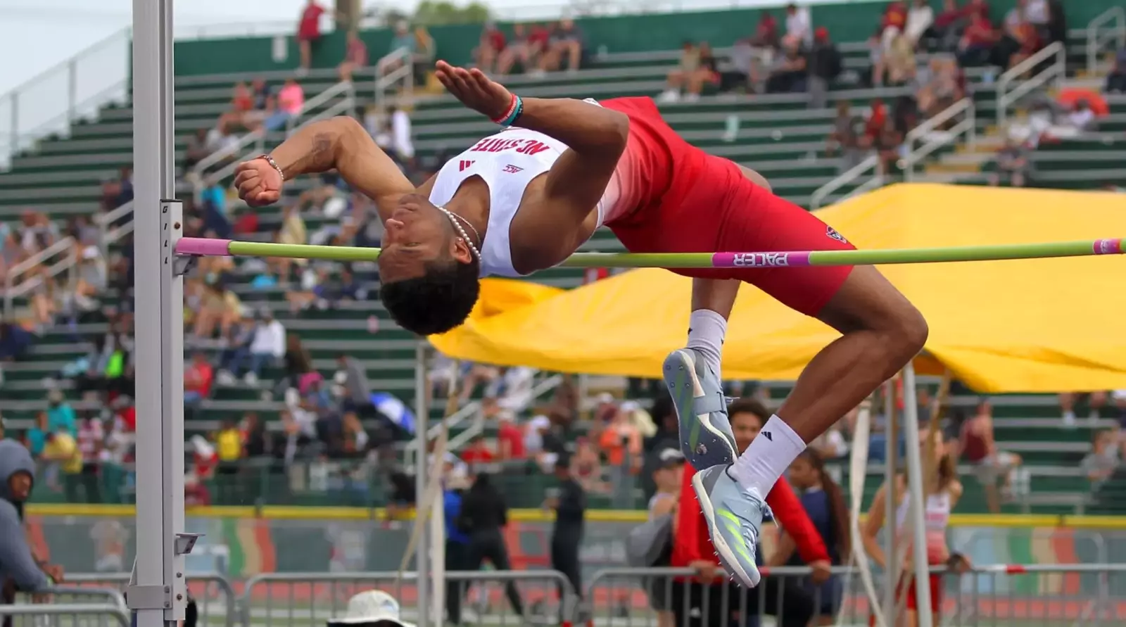 North Carolina State University