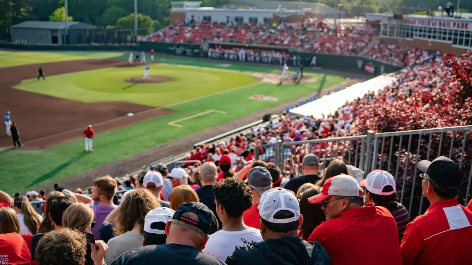 North Carolina State University