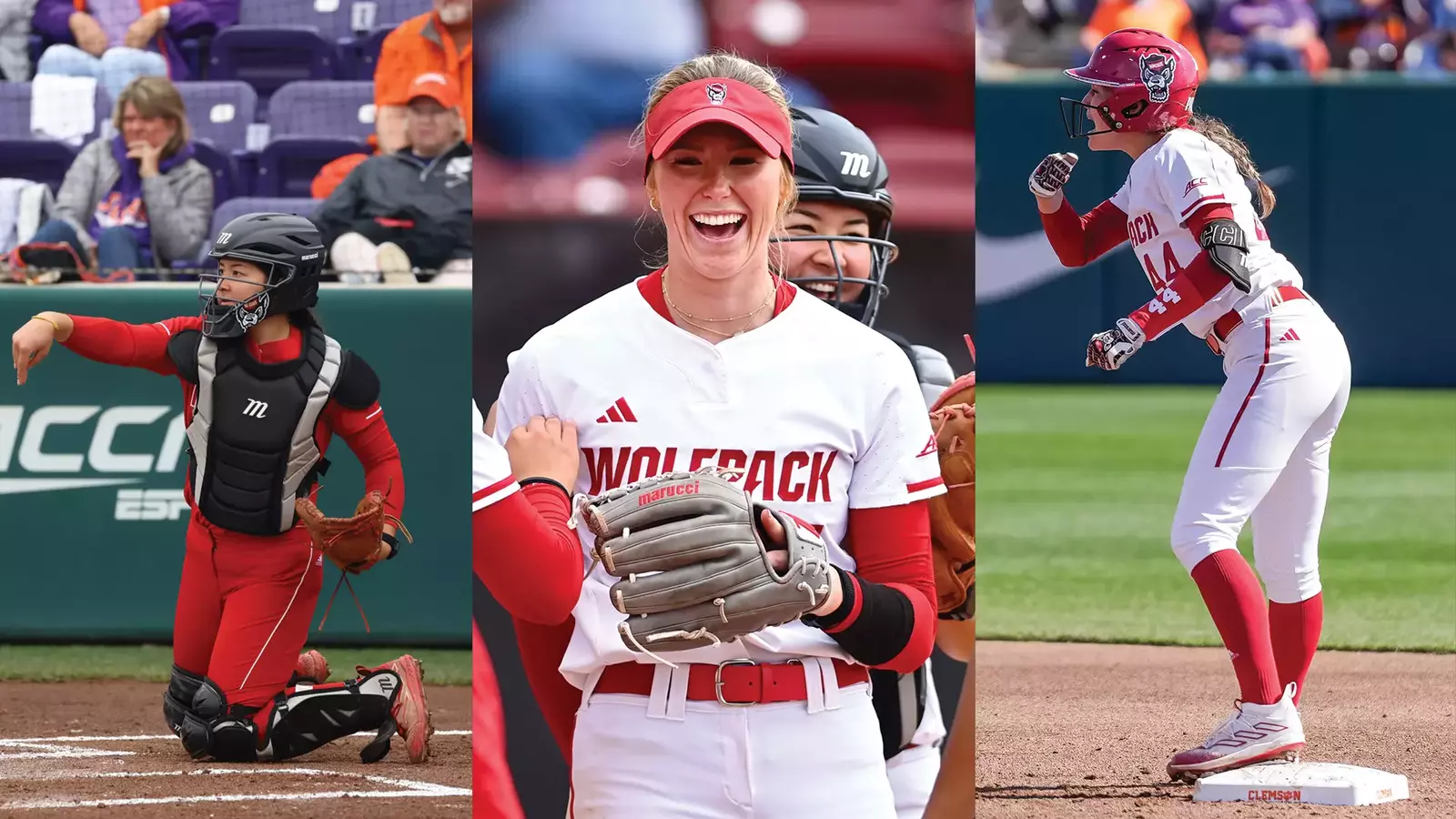 North Carolina State University