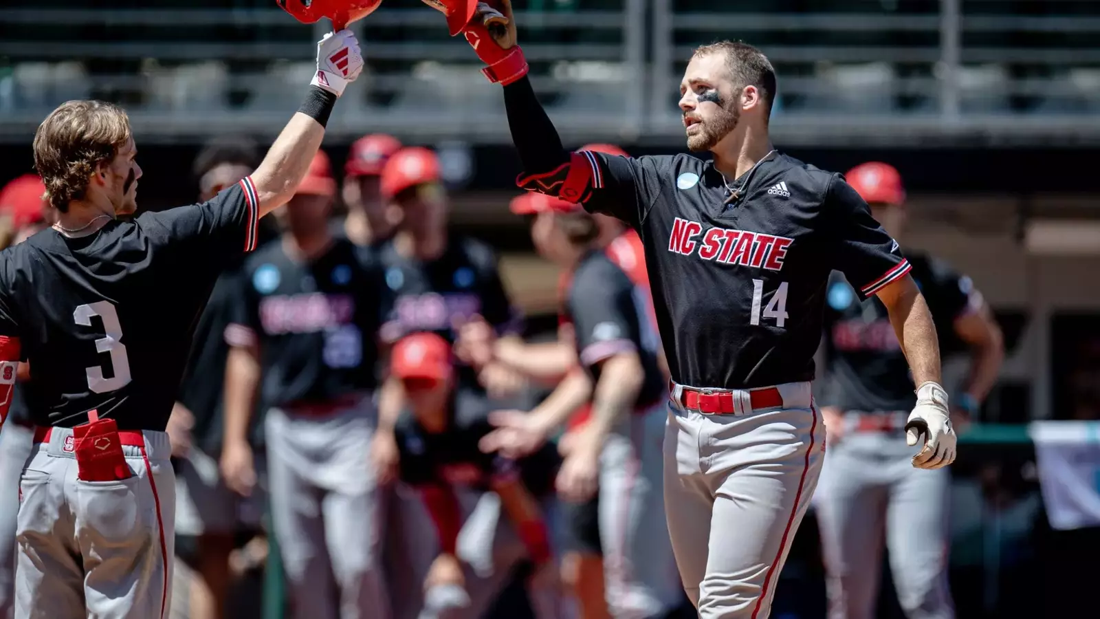 North Carolina State University