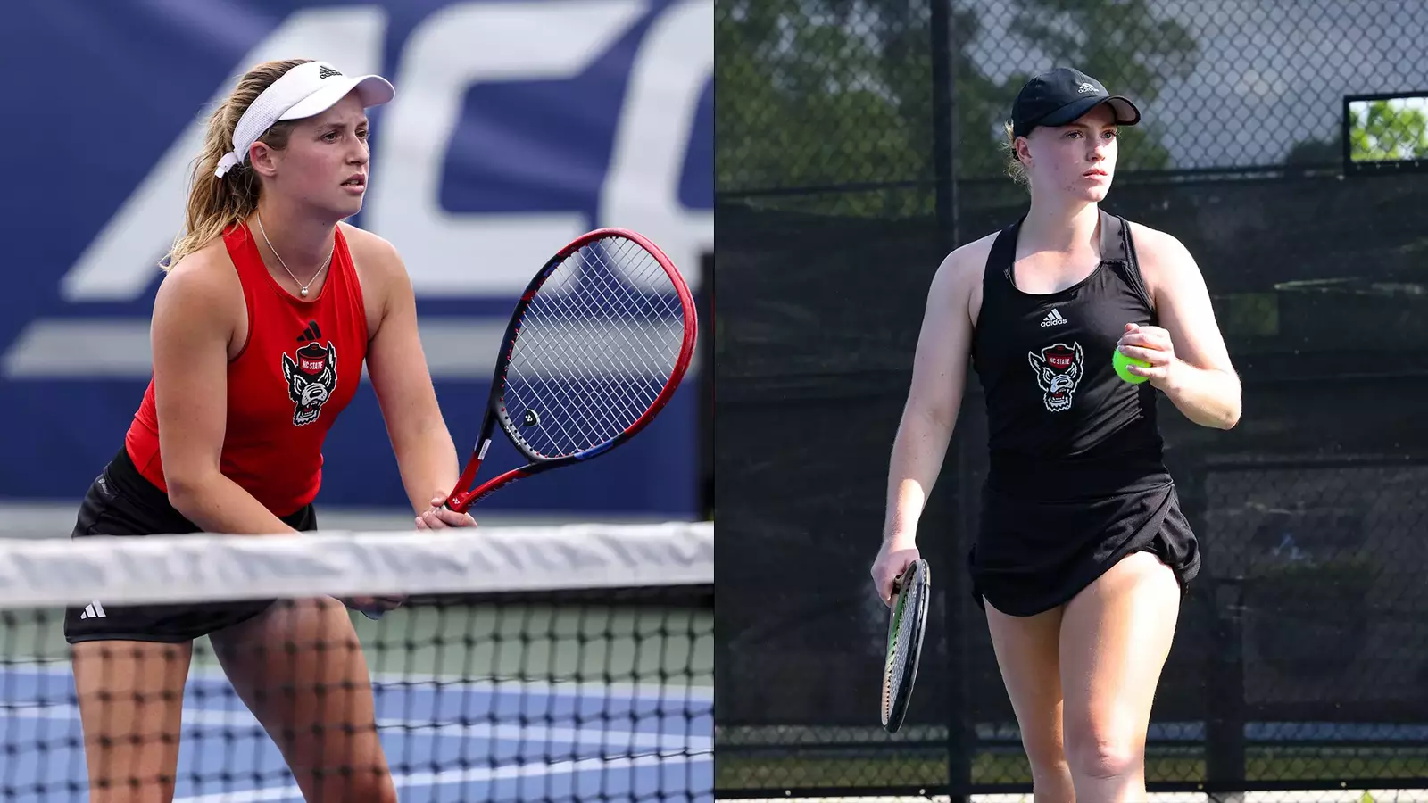 North Carolina State University