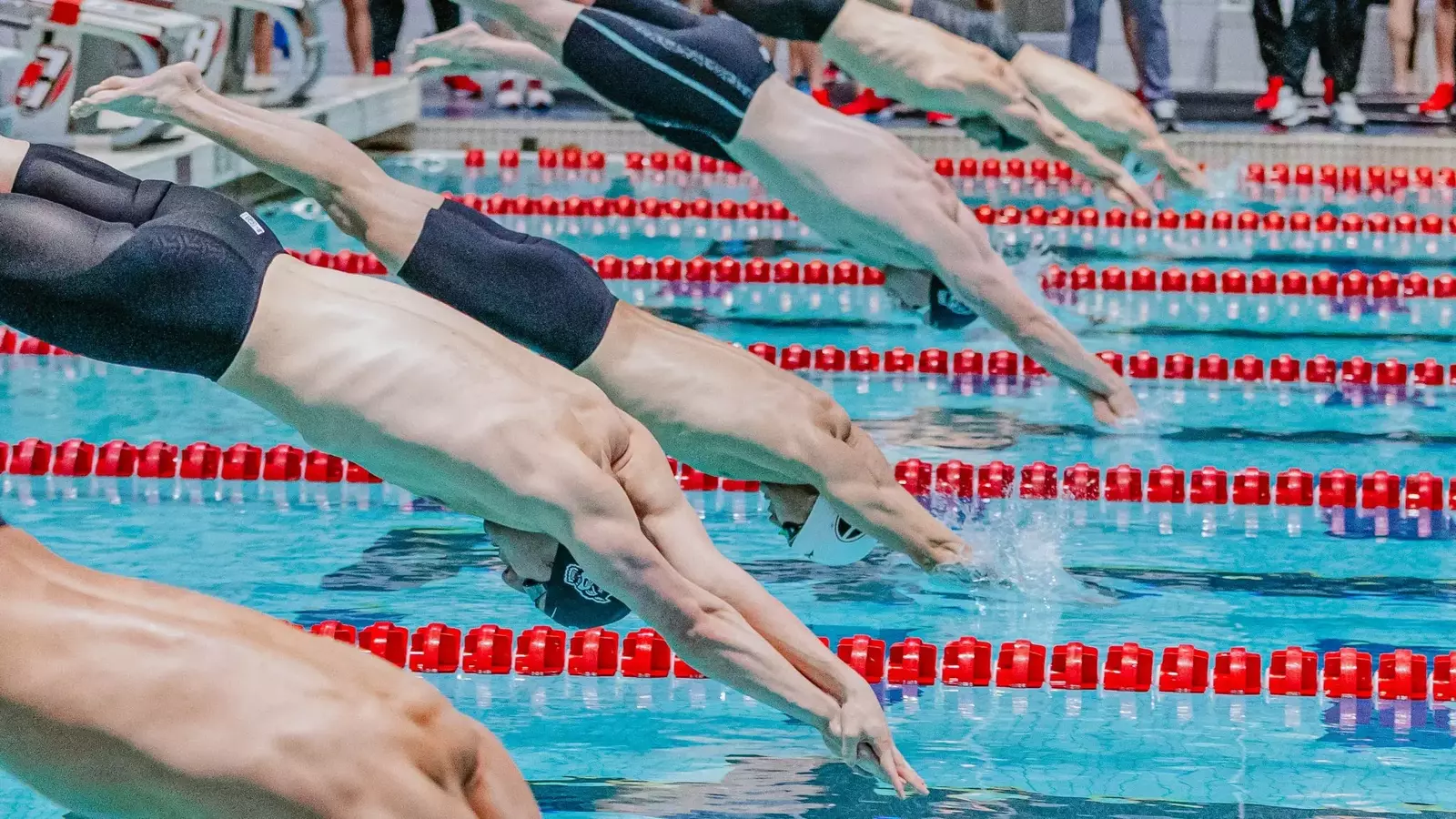 North Carolina State University