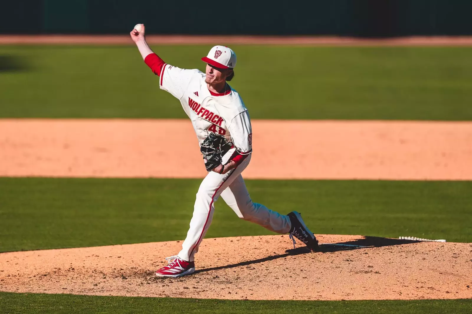 North Carolina State University