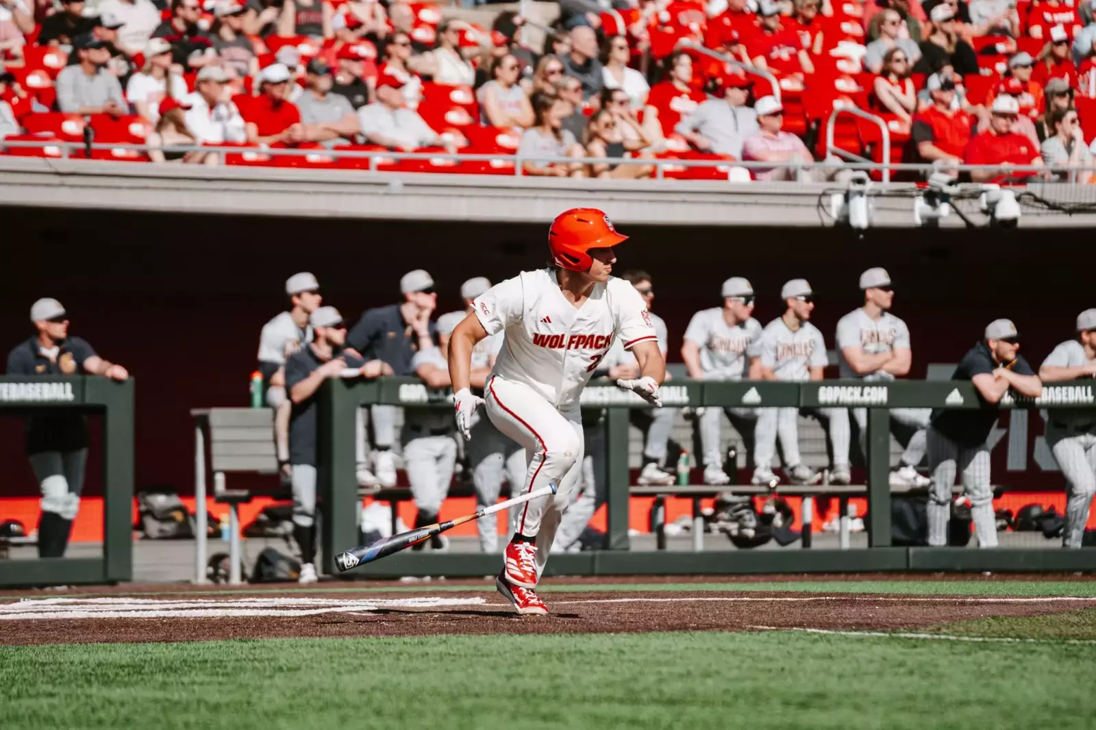 North Carolina State University