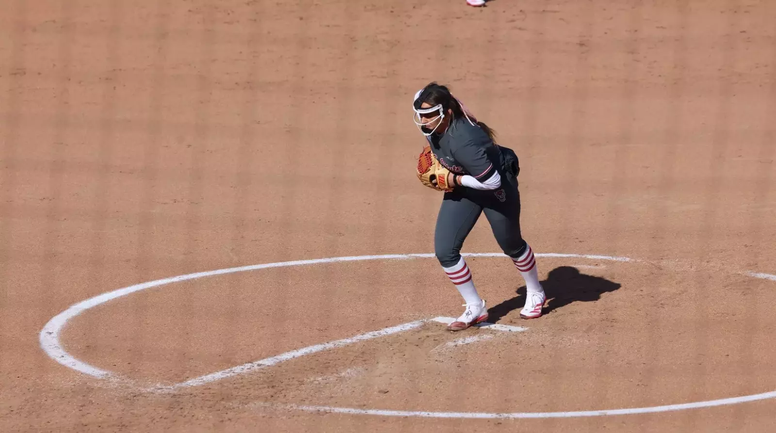 North Carolina State University