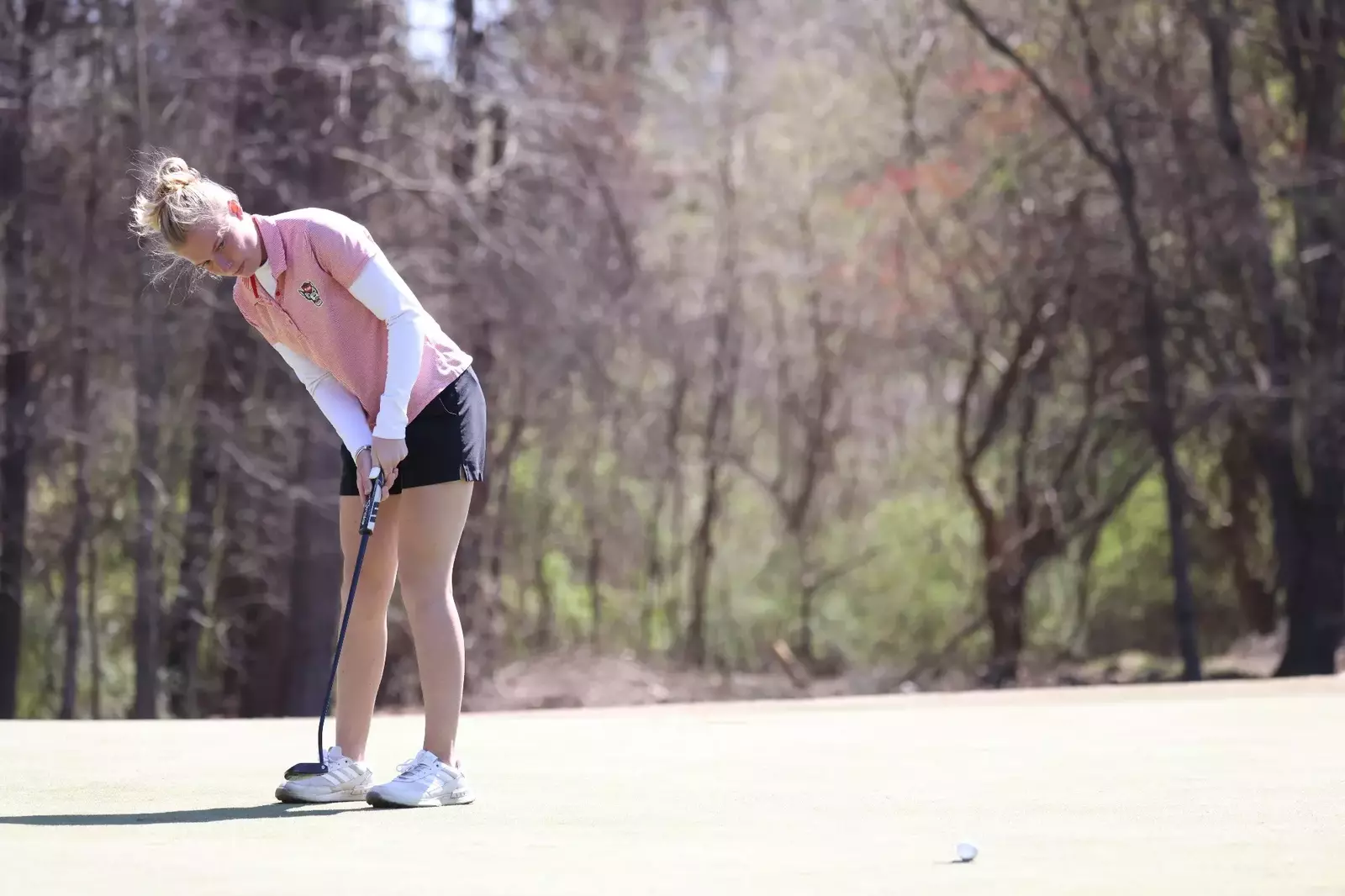 North Carolina State University