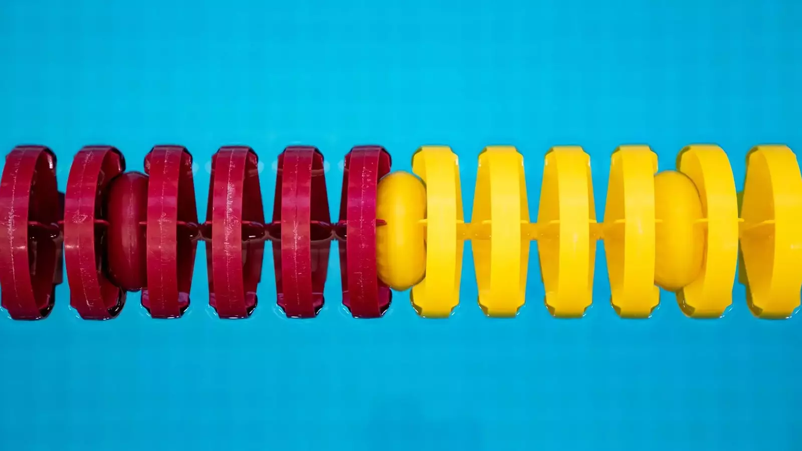 University of Minnesota Athletics