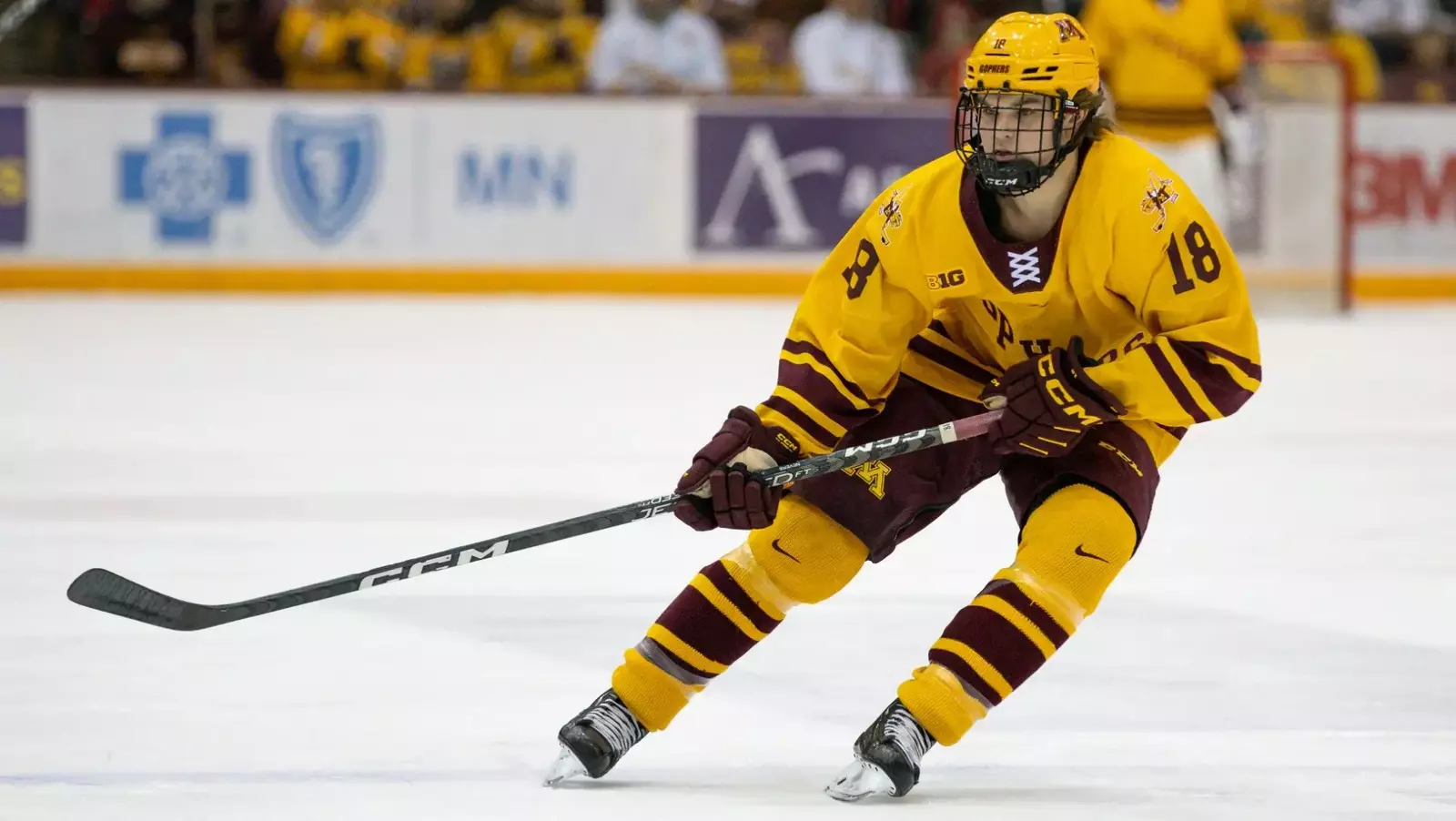 University of Minnesota Athletics