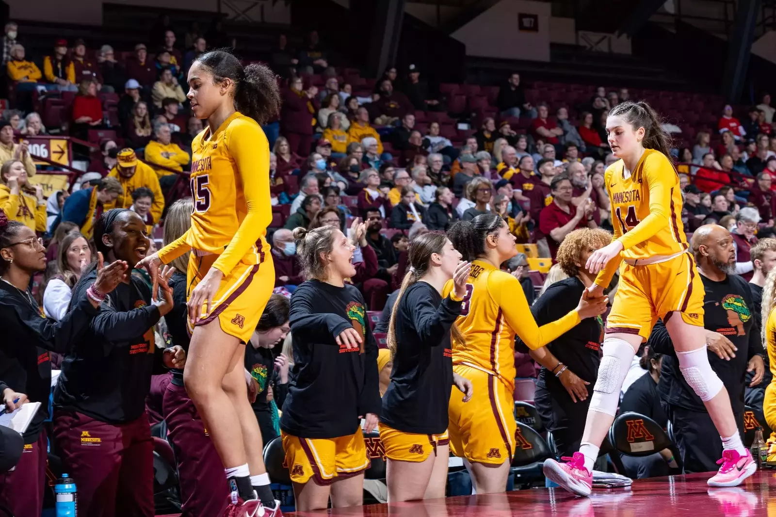 University of Minnesota Athletics