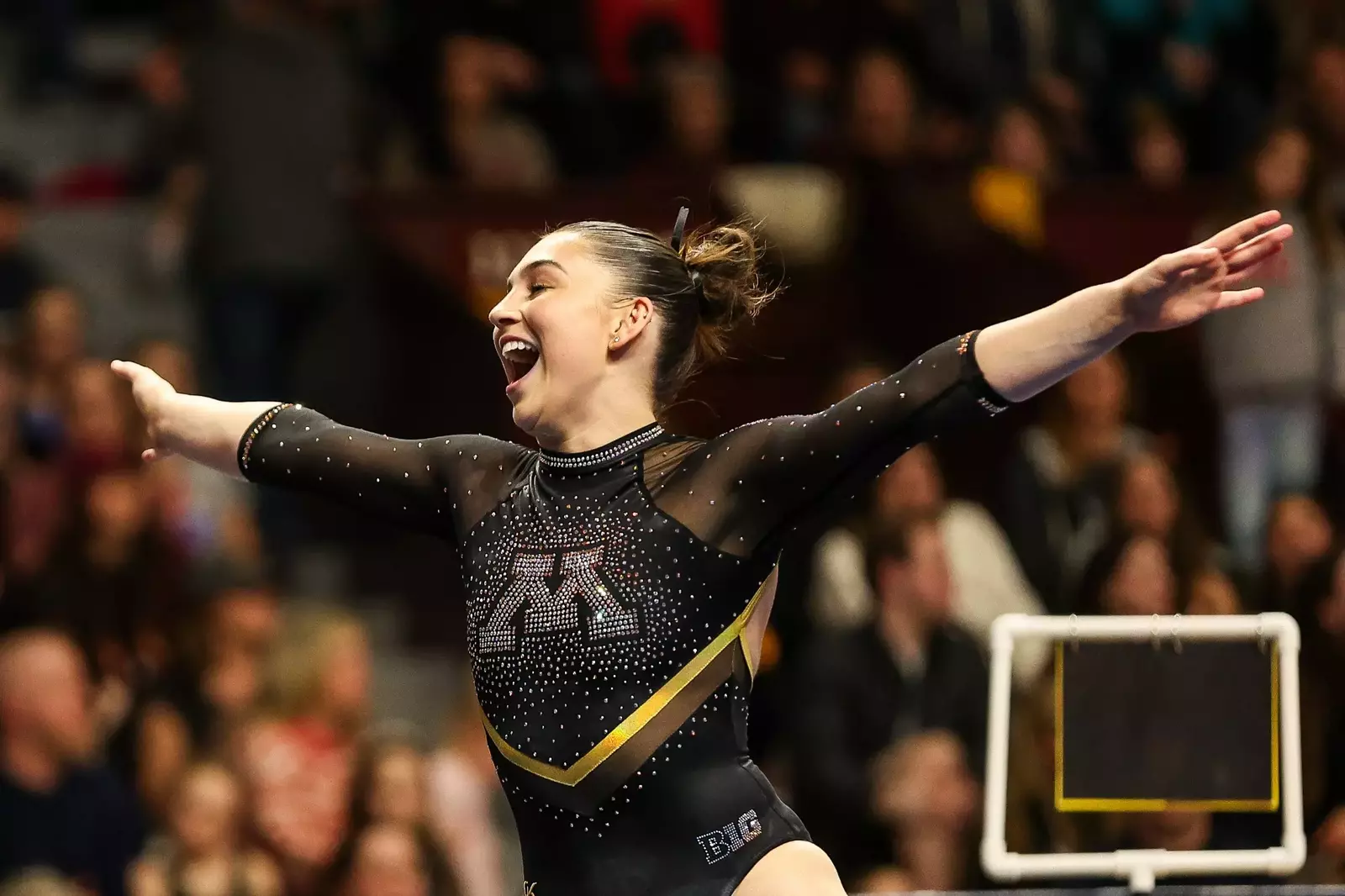 University of Minnesota Athletics