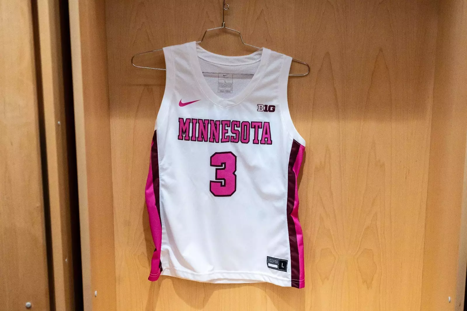University of Minnesota Athletics