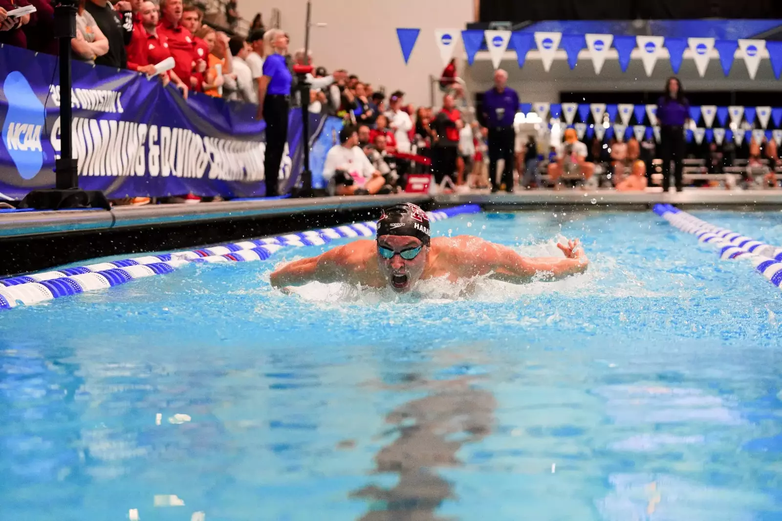 University of Minnesota Athletics