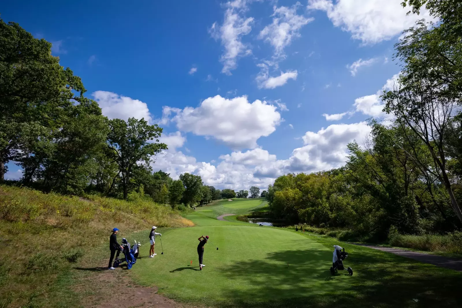 University of Minnesota Athletics