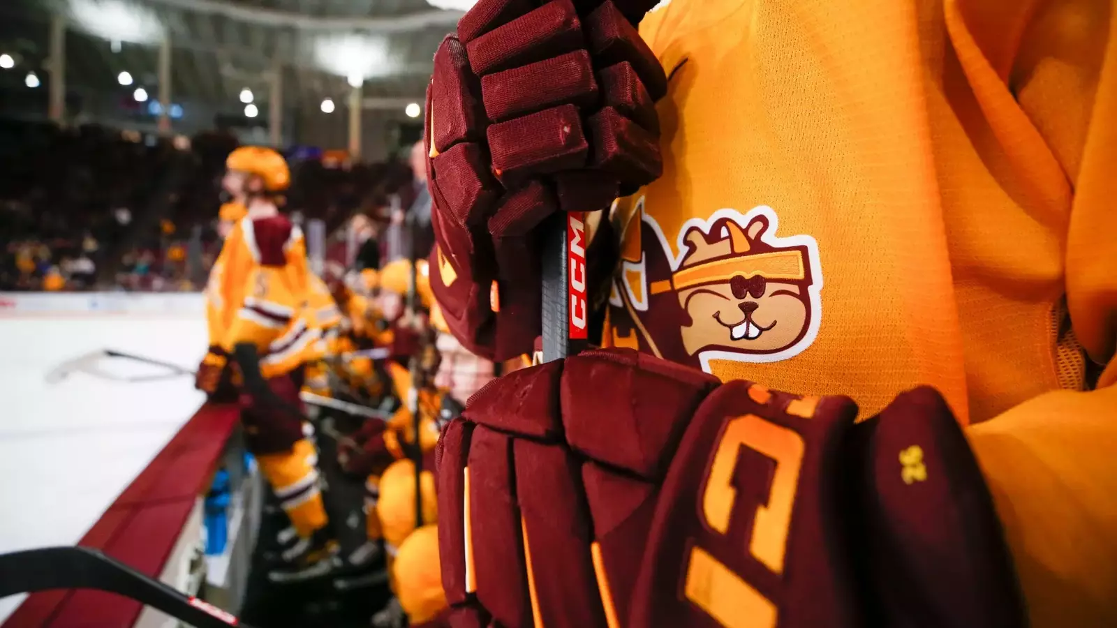University of Minnesota Athletics