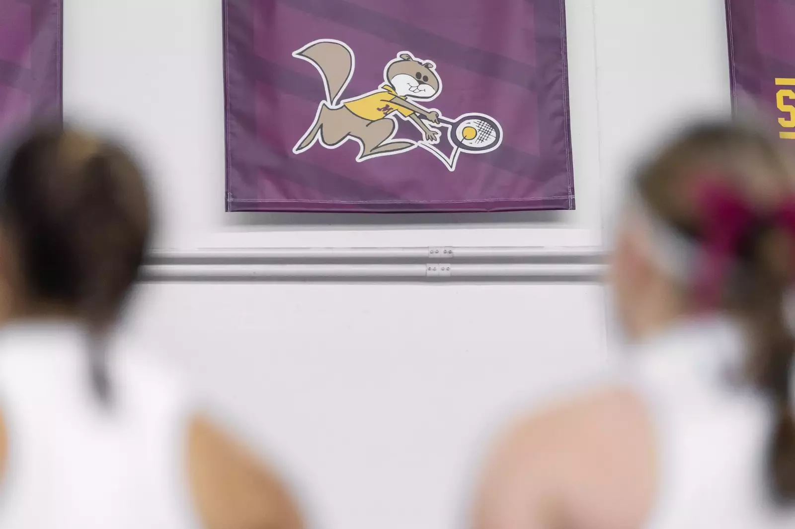 University of Minnesota Athletics