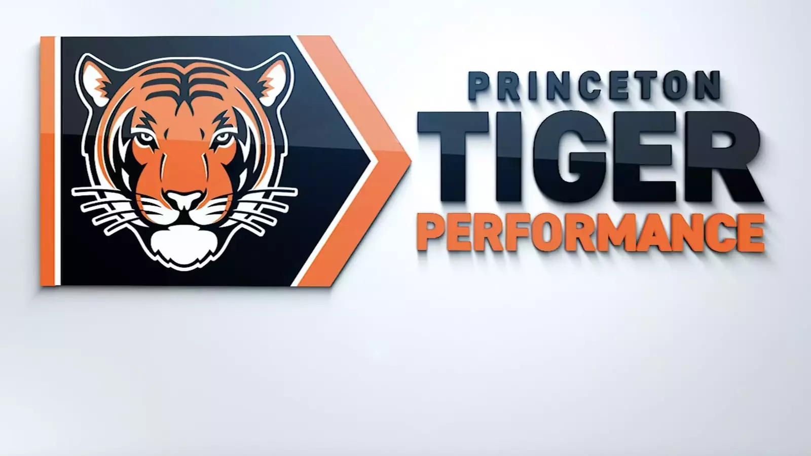 Princeton University