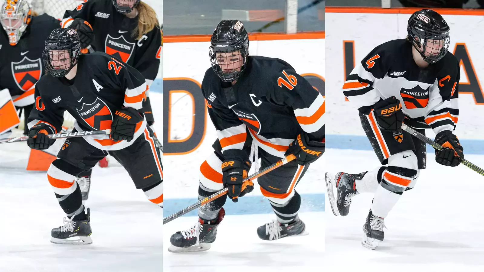 Princeton University