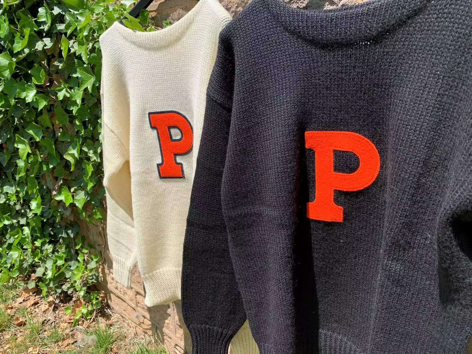 Princeton University