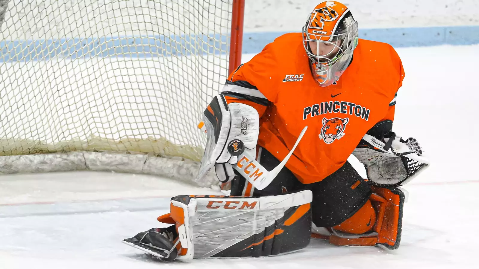 Princeton University