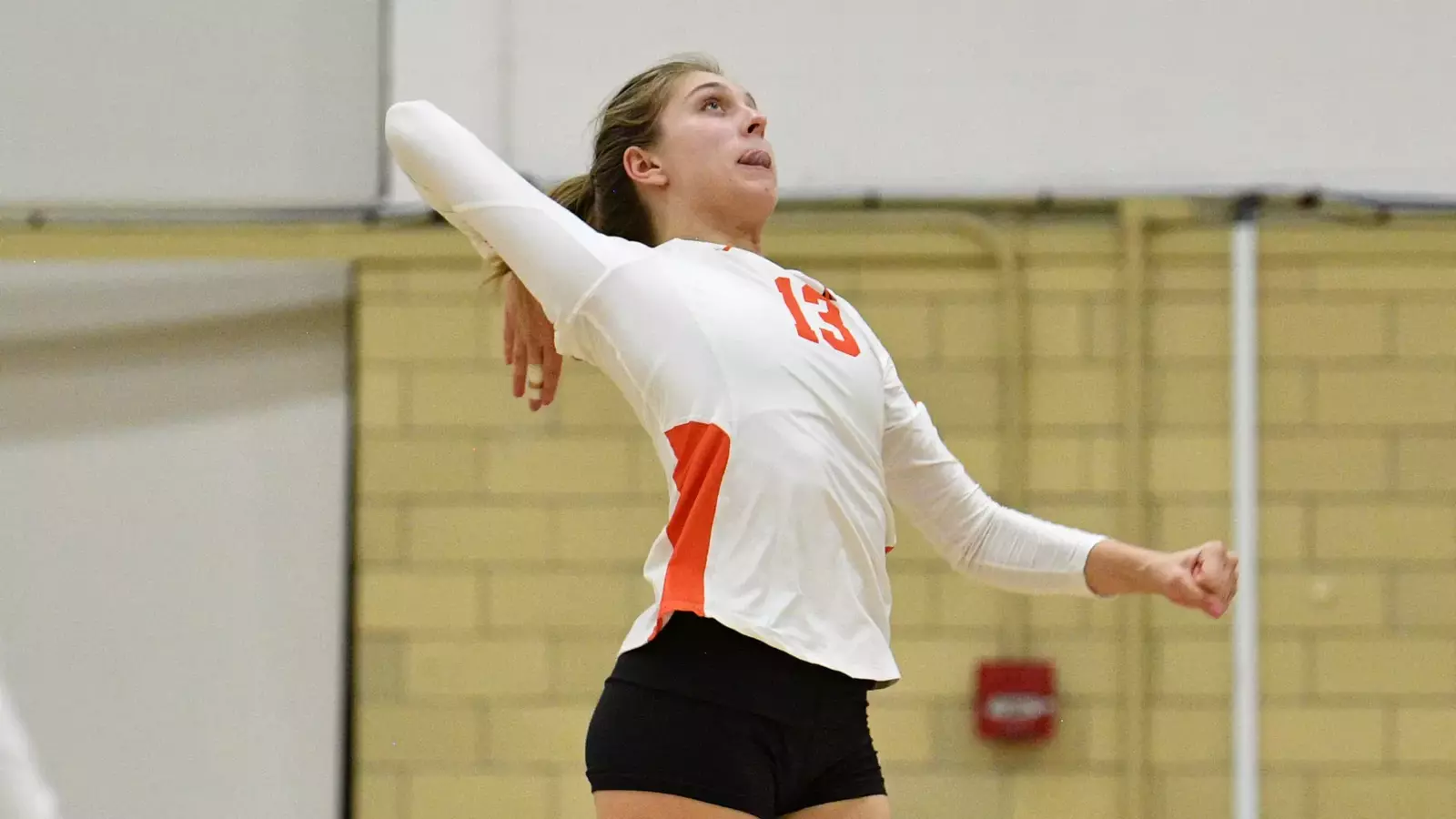 Princeton University