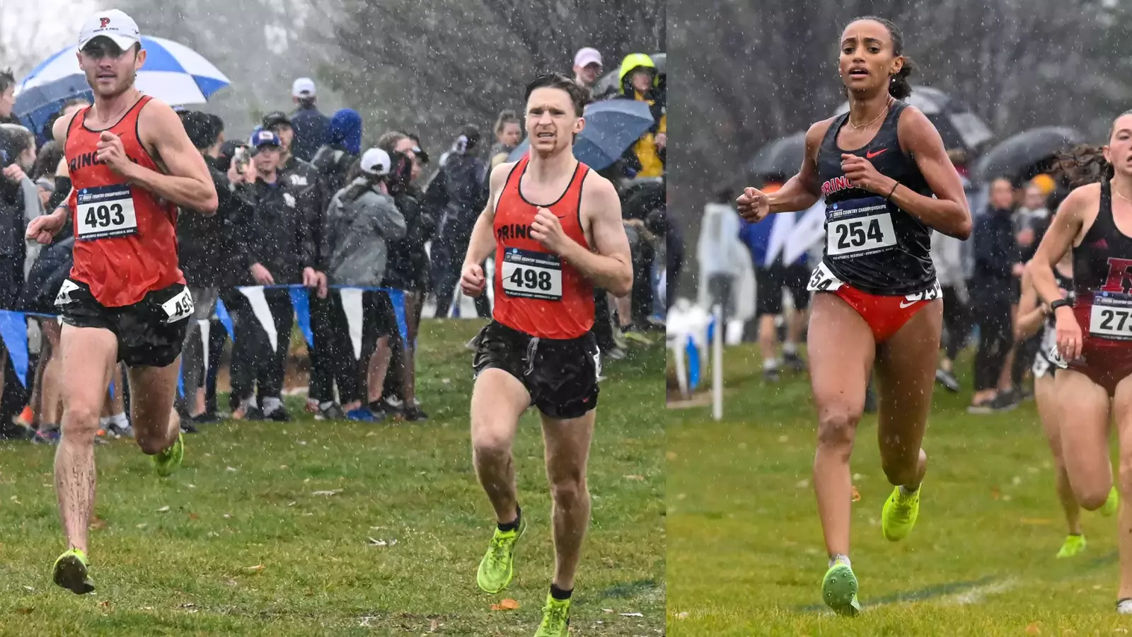 Princeton University