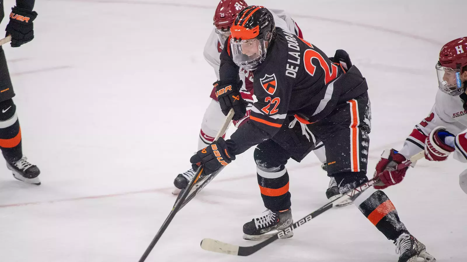 Princeton University