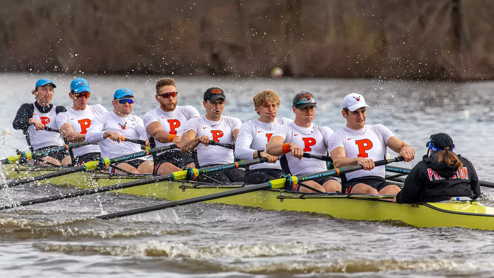 Princeton University