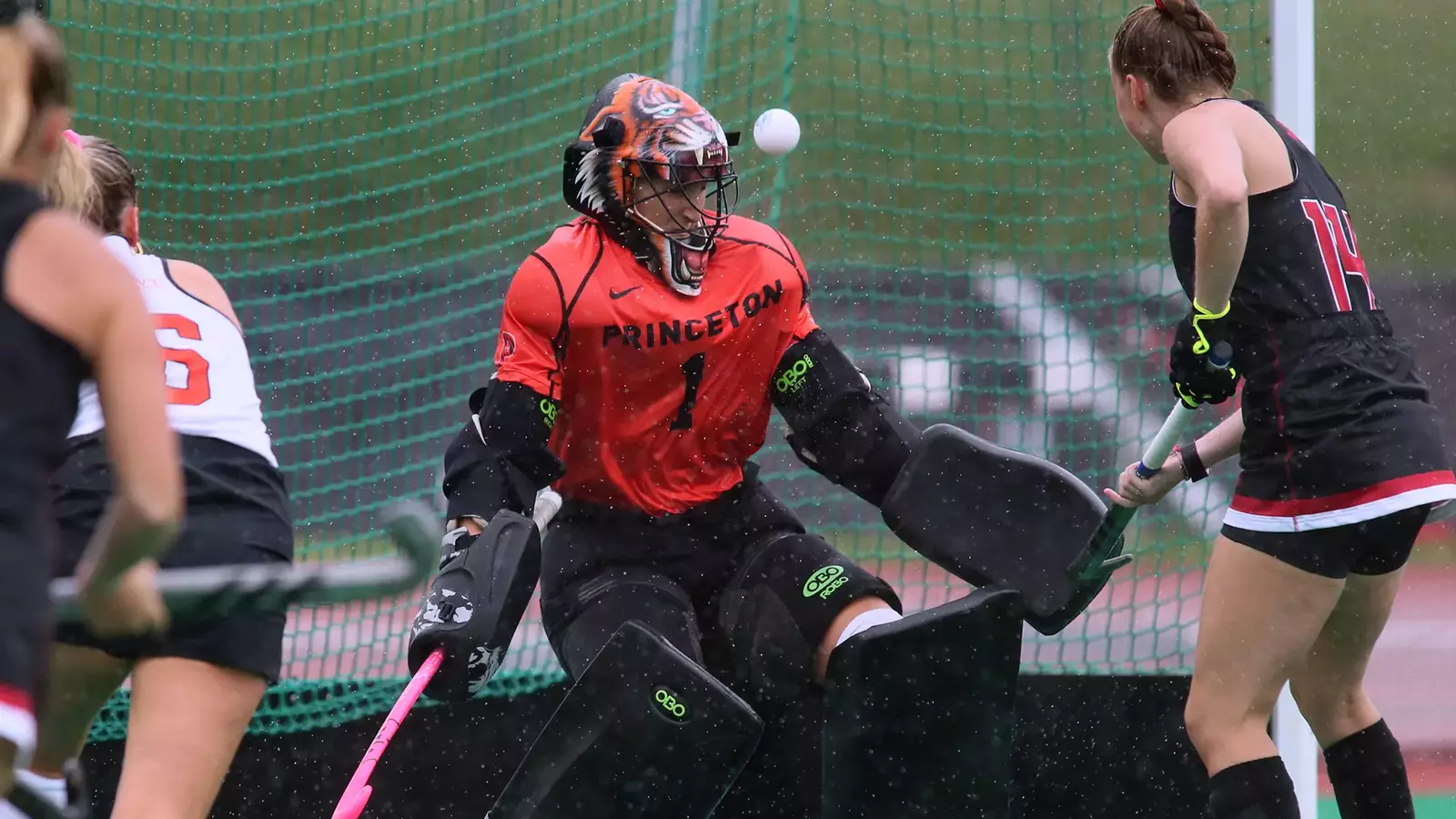 Princeton University