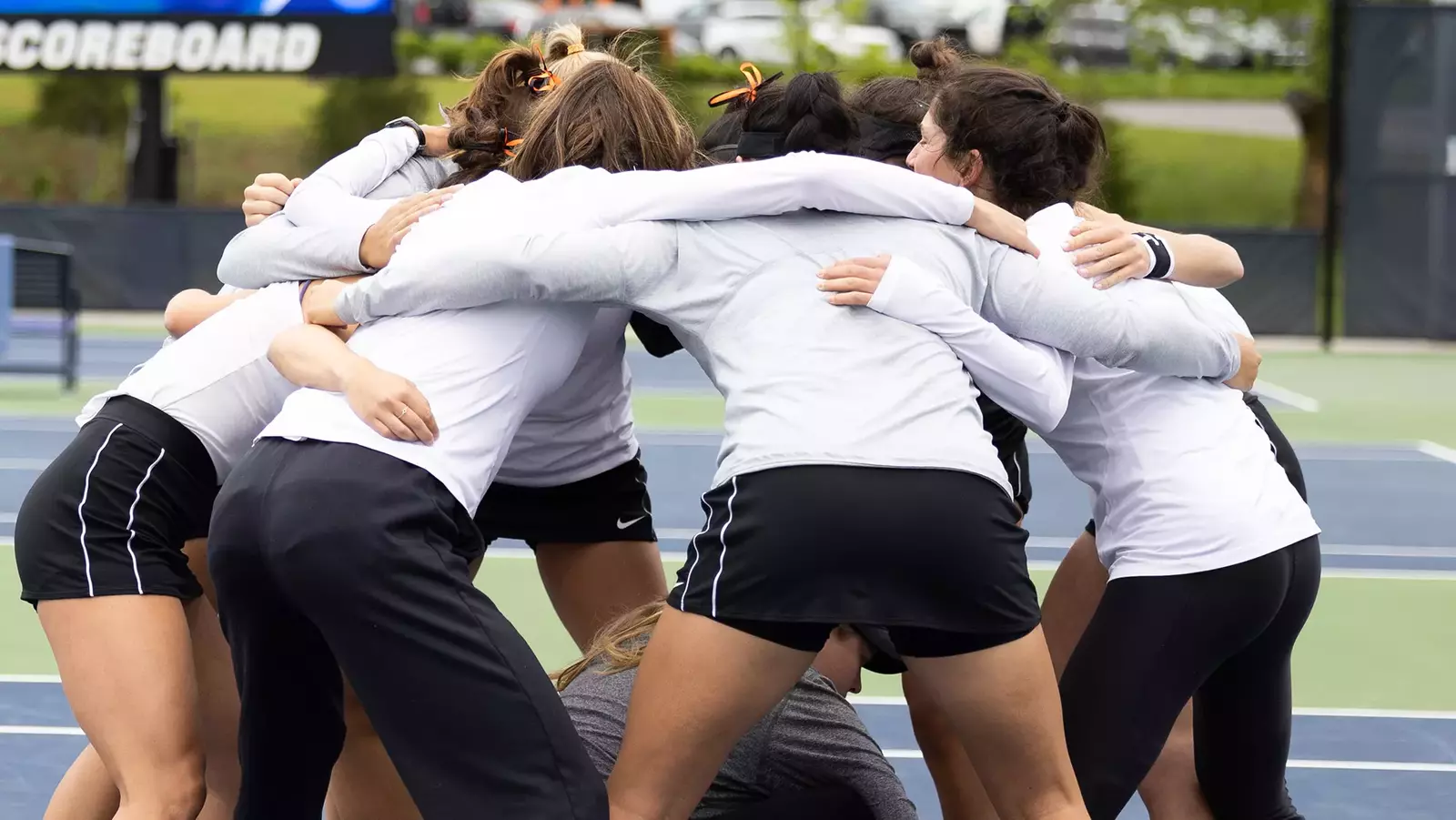 Princeton University