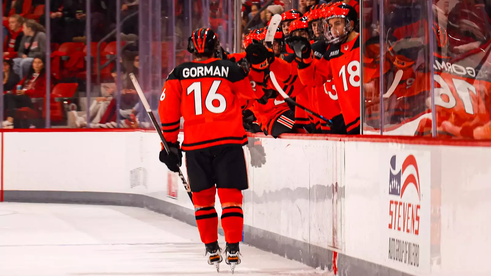 Princeton University