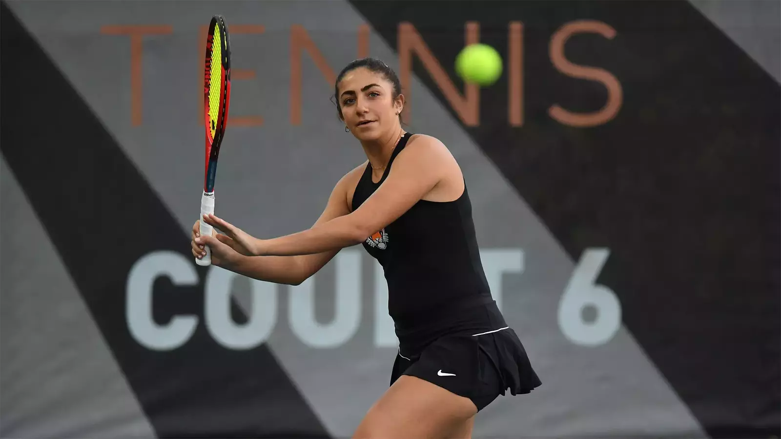 Princeton University