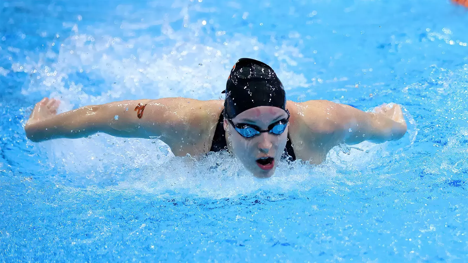 Princeton University