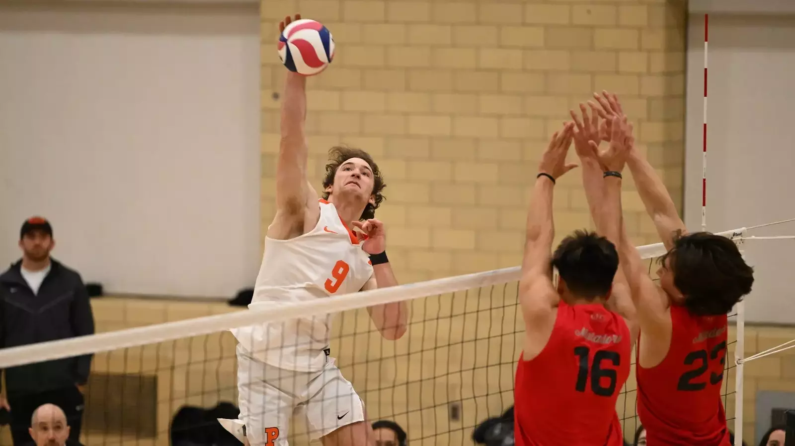 Princeton University