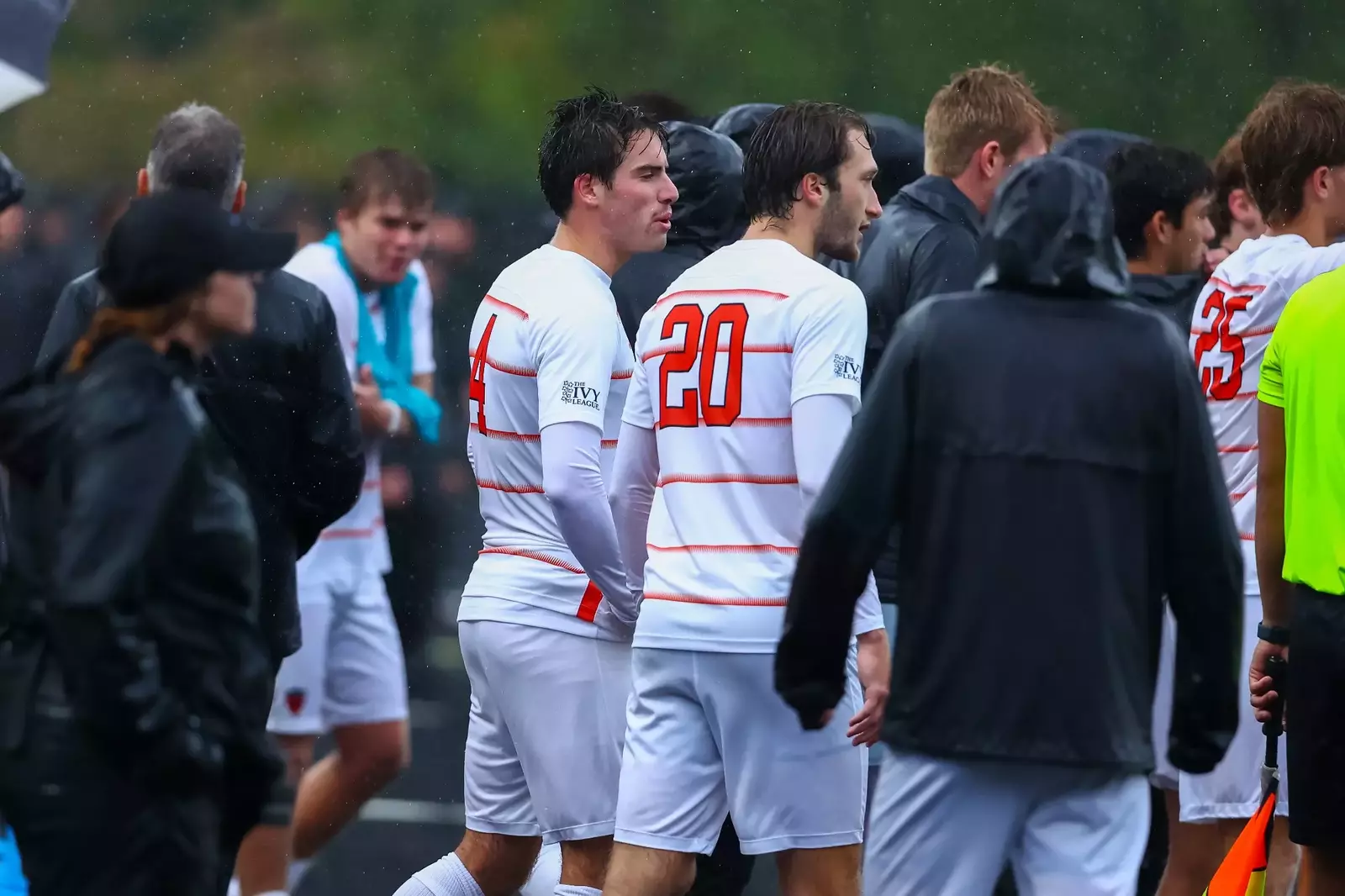 Princeton University