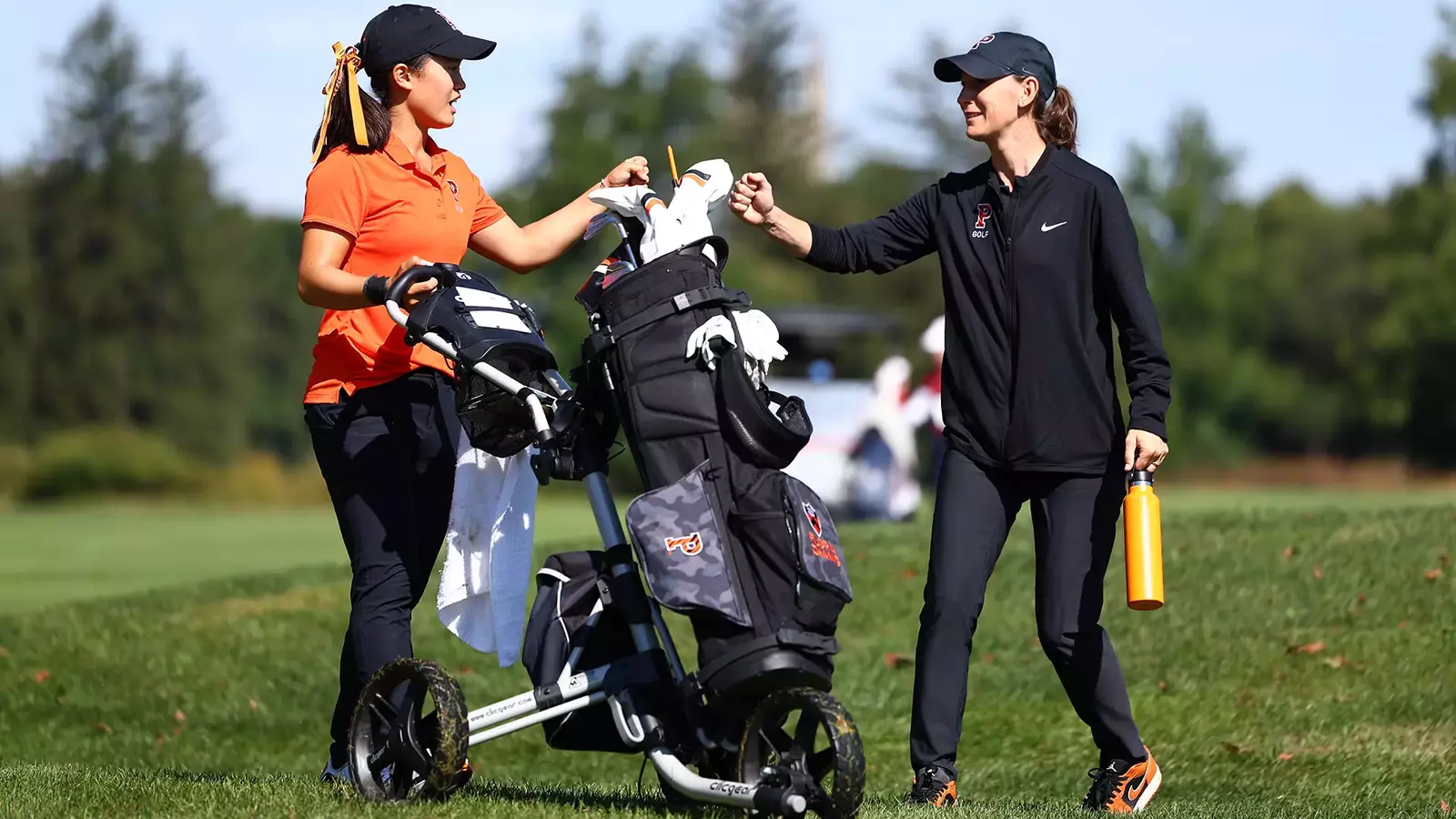 Princeton University