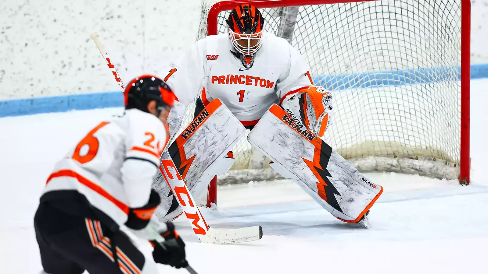 Princeton University