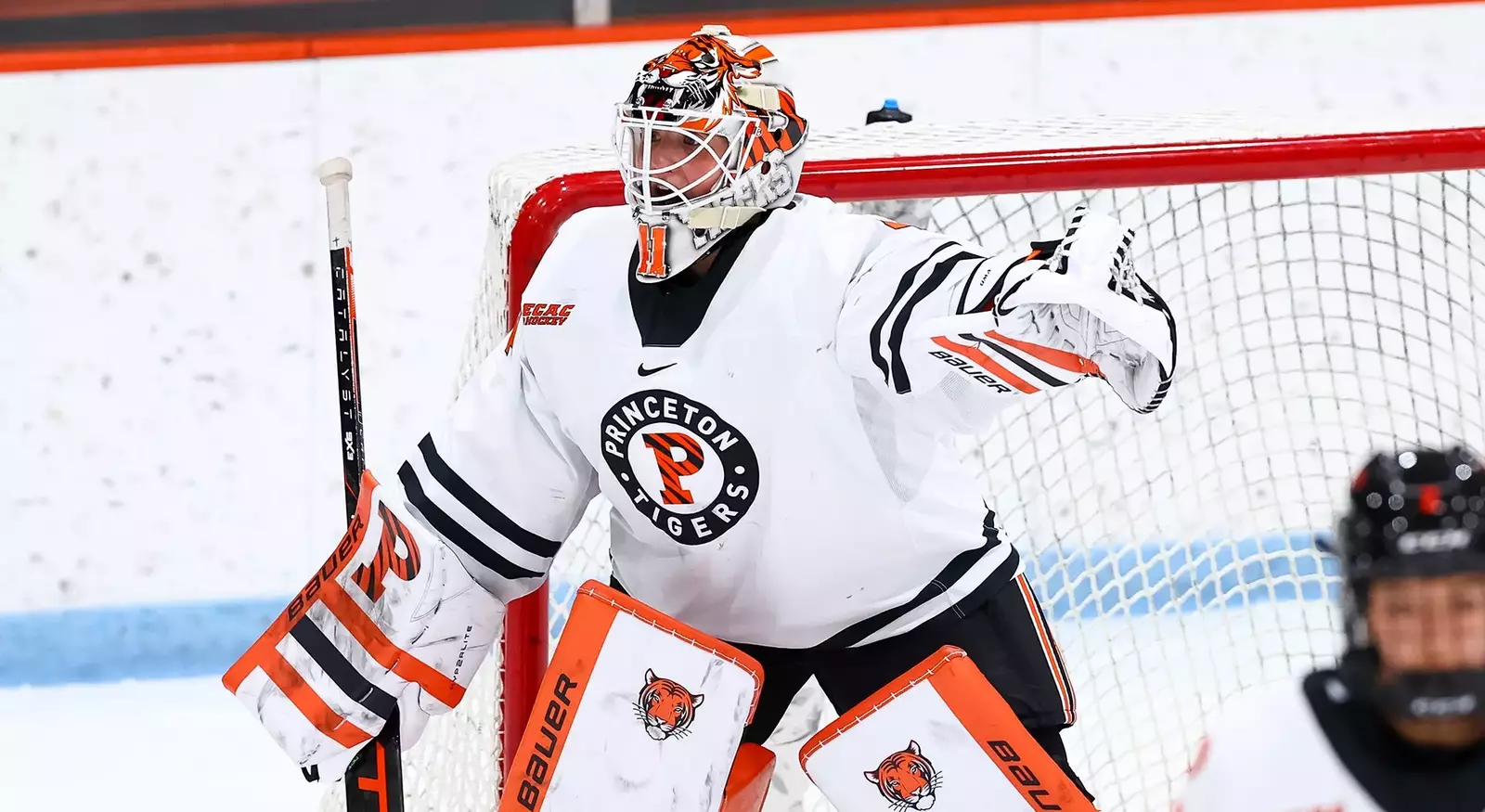 Princeton University