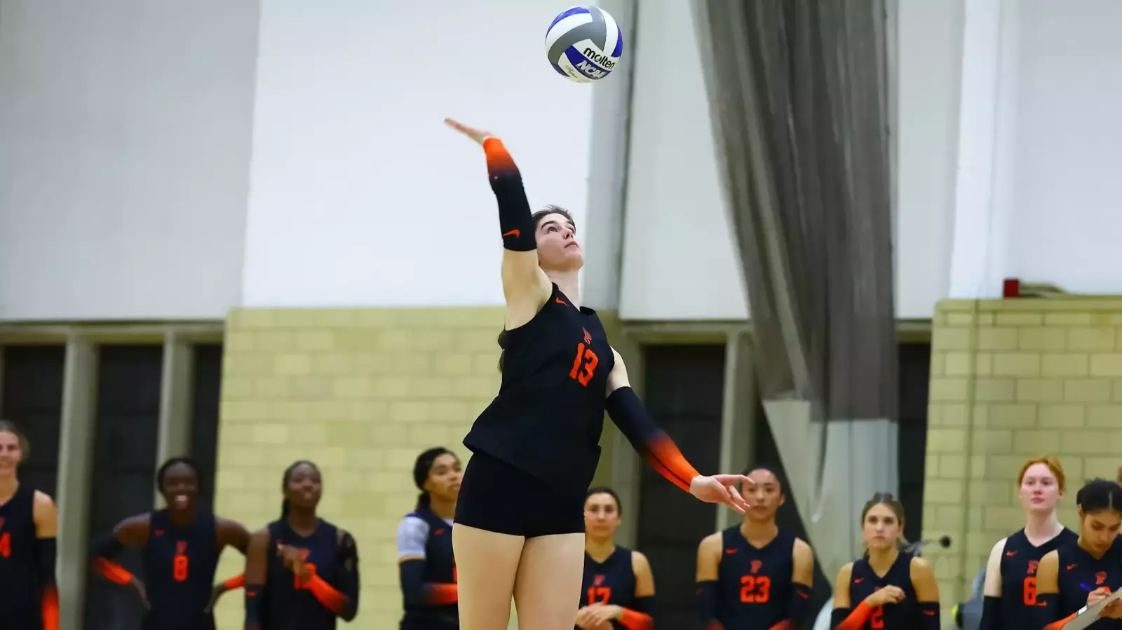 Princeton University