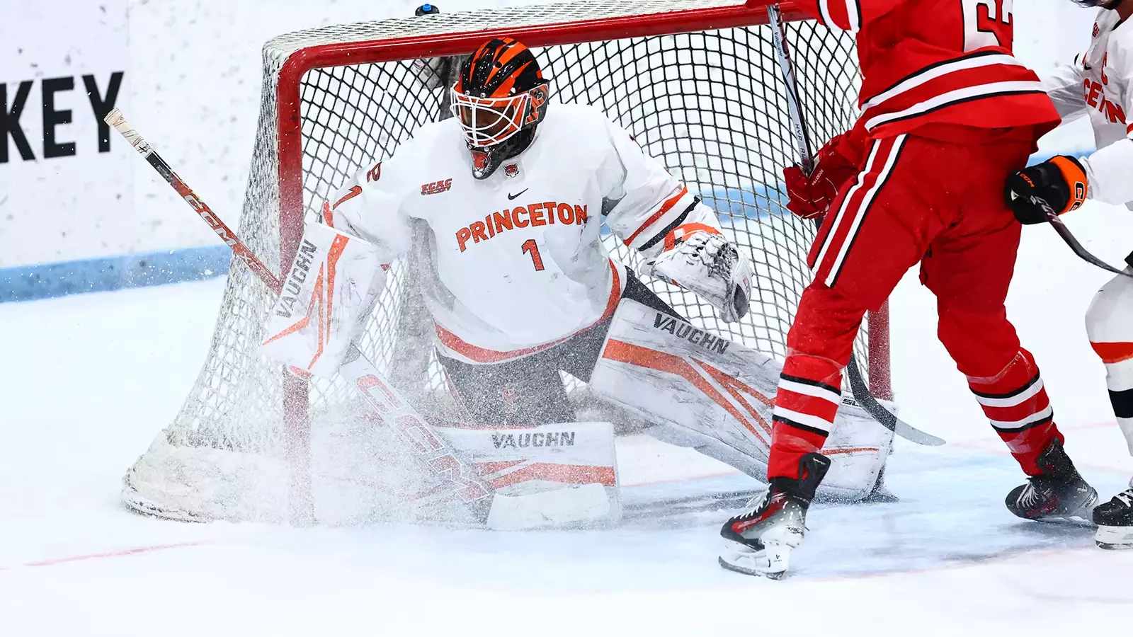 Princeton University