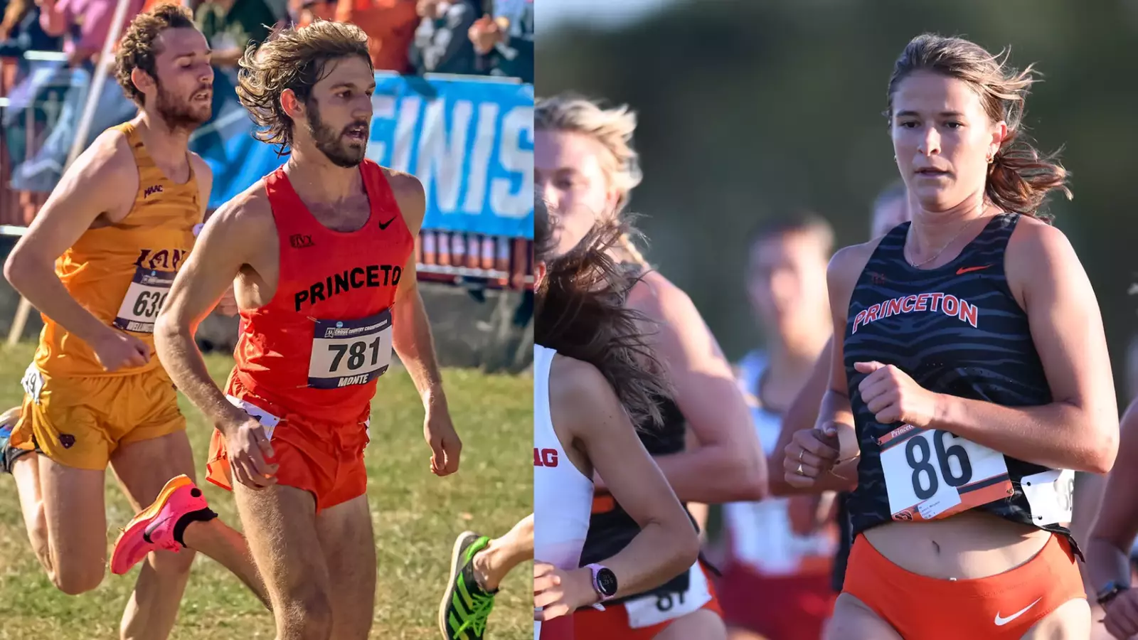 Princeton University